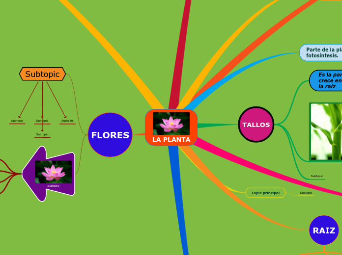LA PLANTA - Mind Map
